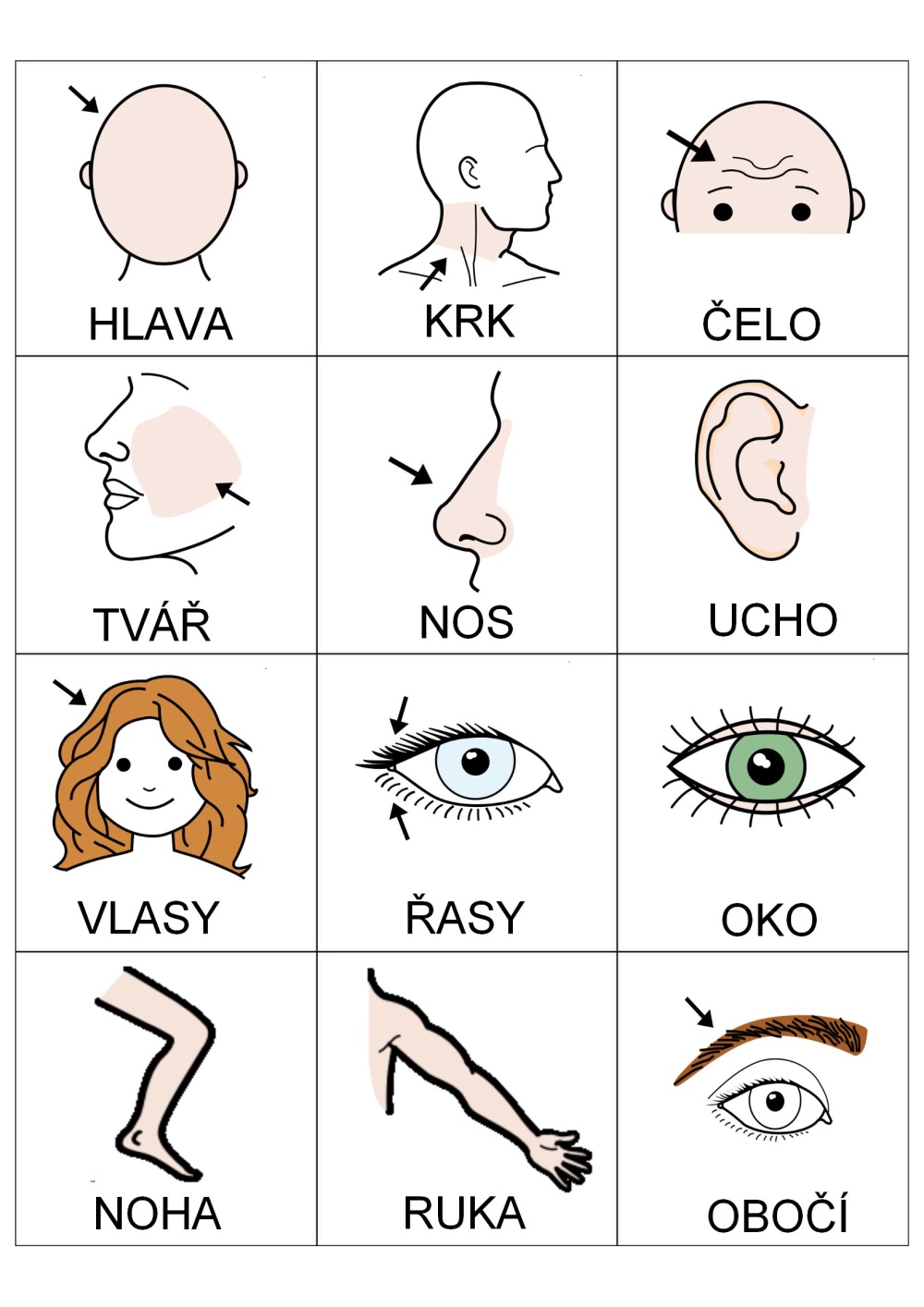 Komunikační tabulky k tématům nemoc, epidemie, emoce, části těla ...